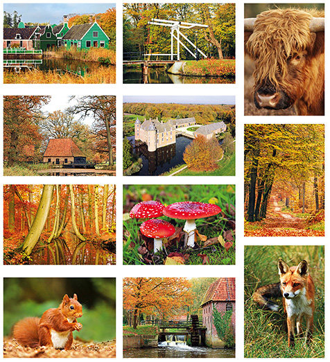 Postkarten set Herbst - Lieferung ab Lager Postkarten set Herbst - Lieferung ab Lager